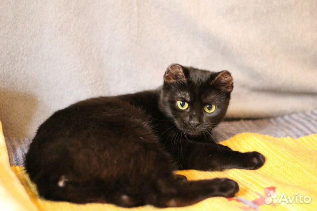 Обмороженная малышка