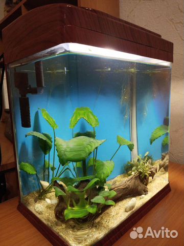 Аквариум 20 литров