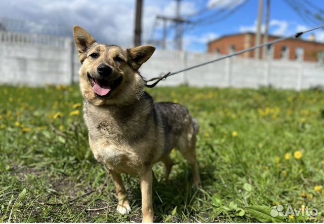 Солнышко Жуженька в добрые ручки