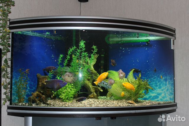 Аквариум угловой Aquatlantis Evasion Corner 120