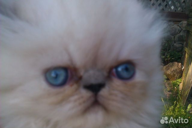 Лучше не бывает