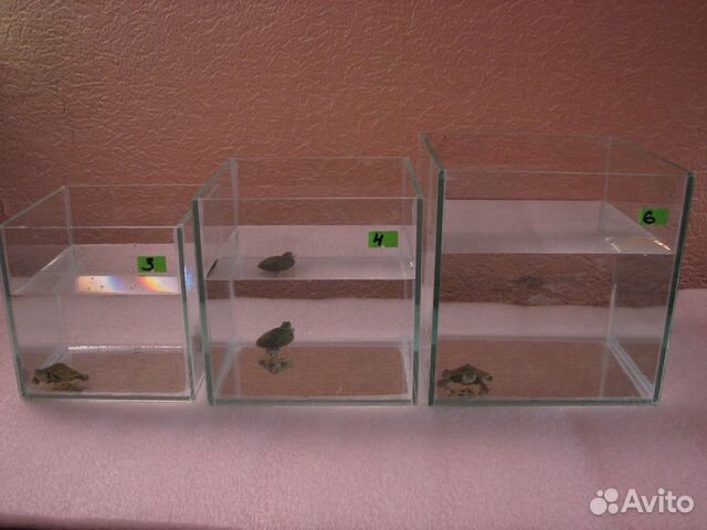 Черепашники, горки для черепашек