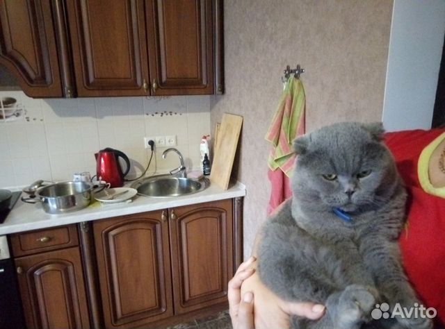 Вязка