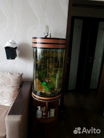 Продаю аквариум необычной формы. Обьем 180 литров