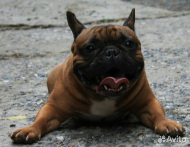 Огненный мальчик для вязок