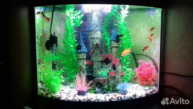 Аквариум