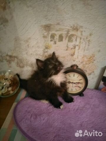 В добрые руки