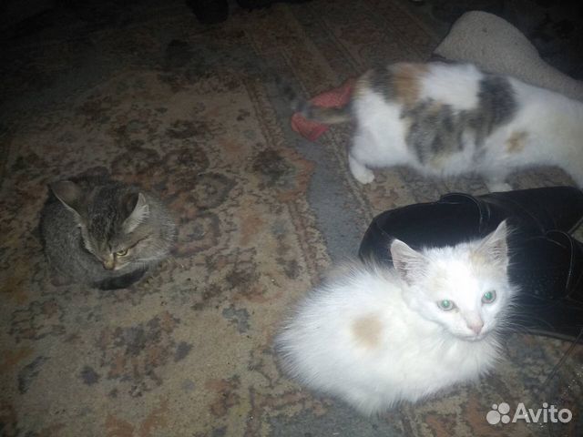 Дети хотят домой