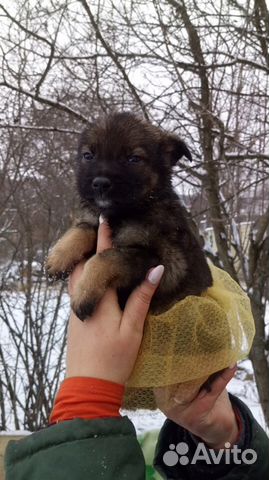 Братик и сестричка