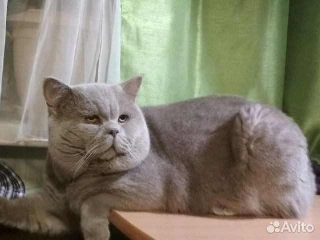 Вязка