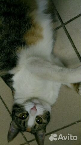 Тётя Мотя мечтает о доме