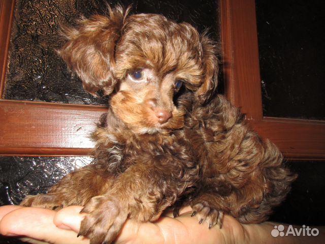 "Хитрый" подарок на 23 февраля и 8 марта