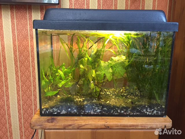 Аквариум 29 литров