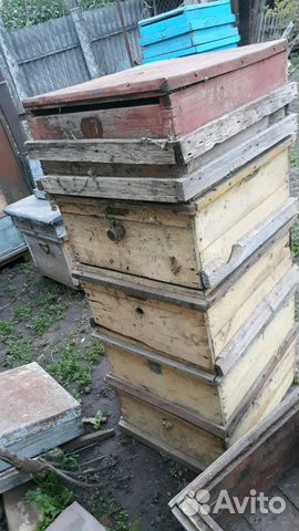 Улики для пчел