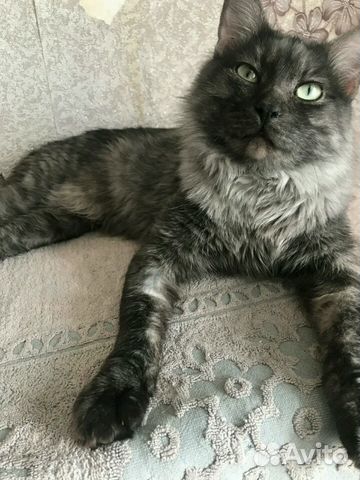 Гриша замурованный в гараже