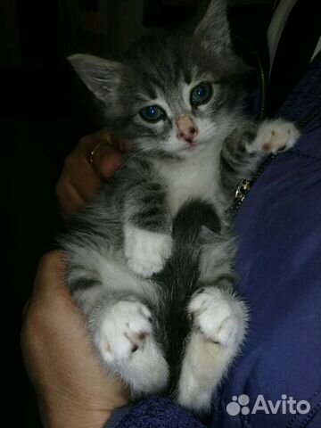 Чудесный мальчуган в добрые ручки