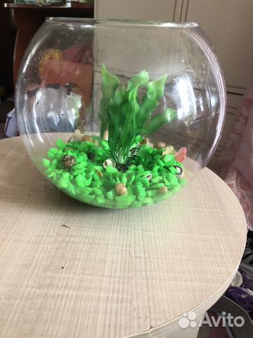 Аквариум круглый