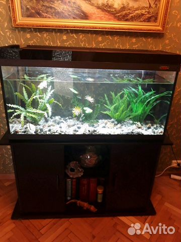 Аквариум