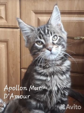 Наши богини и боги