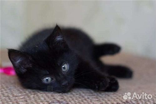 Черный мальчик без пятен, самый из самых