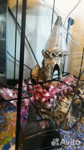 Аквариум 60л