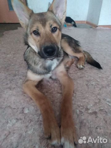 Мальчик 5 мес