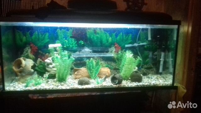 Аквариум