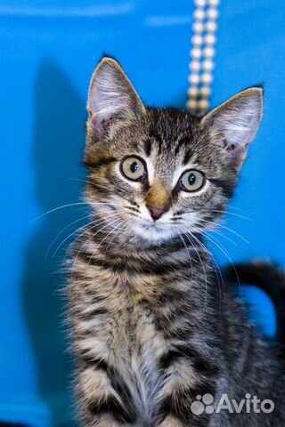 Ul.Chernyakhovskogo, d 11 kv 30 g. Nizhniy Novgor