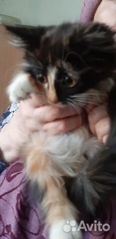 В любящие руки