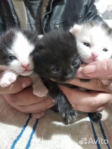 Подарок под ёлку