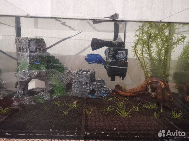 Аквариумный комплект на 20 литров