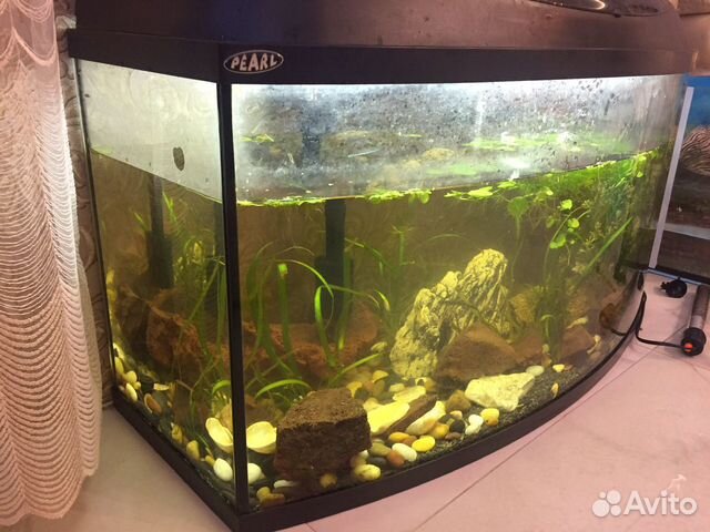 Аквариум