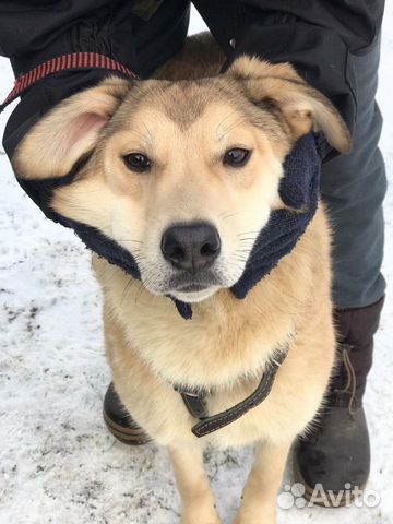 Красавица Барби в самые добрые ручки