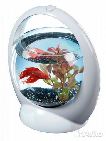 Аквариум Tetra Betta Ring 1,8 литров