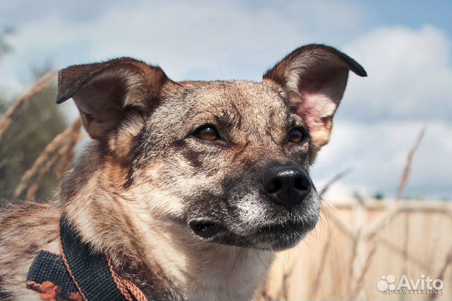 Стешка, нежная, трогательная девочка