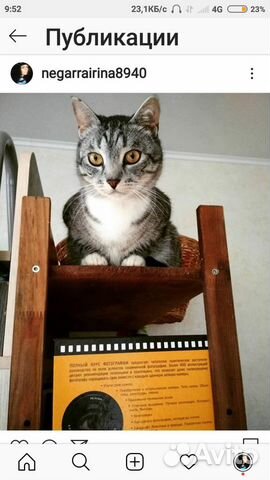 Отдам в хорошие руки кострированного котика Барсик