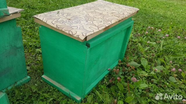 Ловушки для пчел