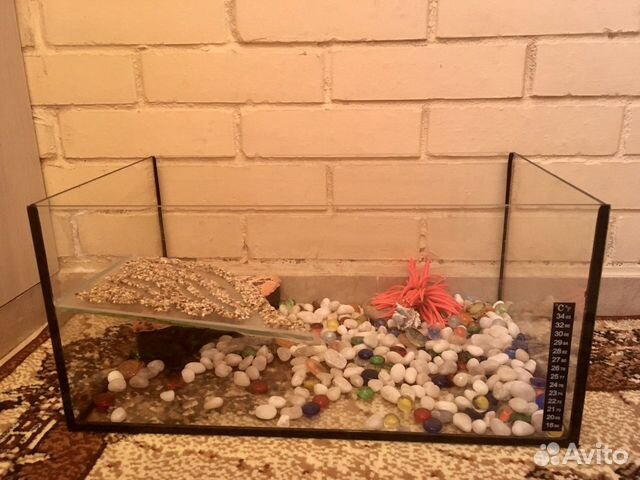 Аквариум с берегом для черепах