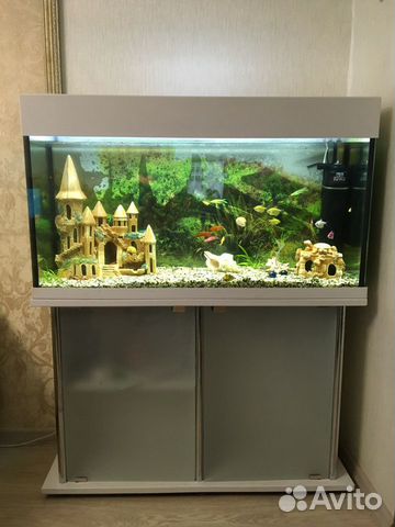Продам аквариум вместе с тумбой и декором