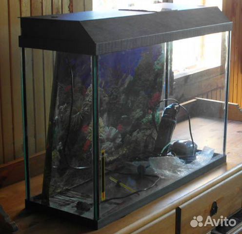 Узкий аквариум 70 литров 70x24x50