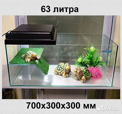 Черепашник