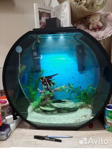 Дизайнерский аквариум AA Aquariums Deco O Max 54 л