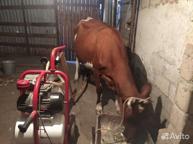 Сельское хозяйство