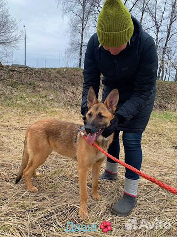 Обворажительная Марта ищет дом