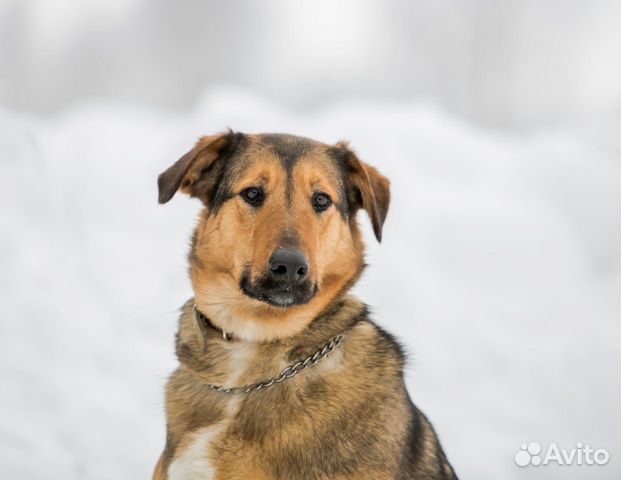 Красота в дар Для ценителей