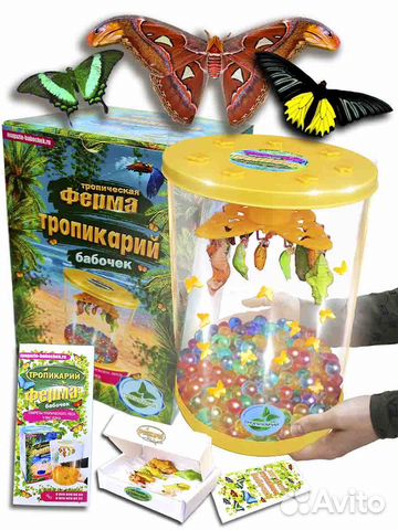 Тропикарий-ферма бабочек