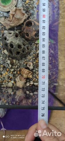 Аквариум на 96л с содержимым