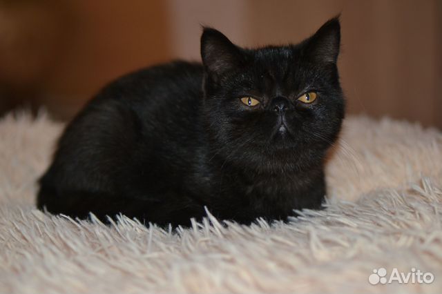 Брутальный парень