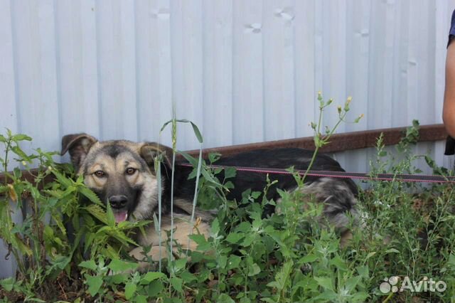 Камилла хочет снова довериться человеку