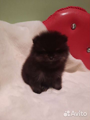 Пом на миллион